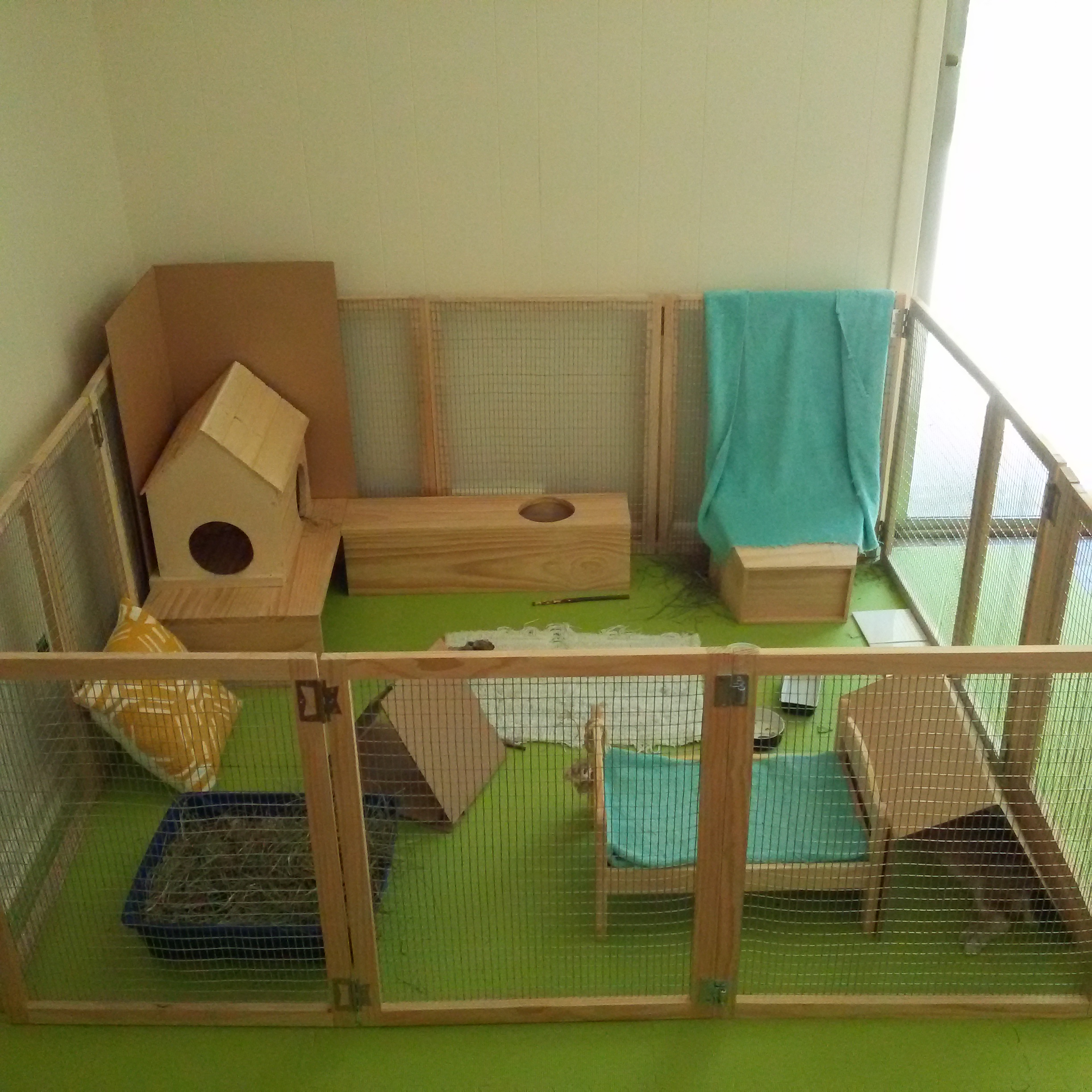 Housing – New Beginnings Animal Rescue for Rabbits